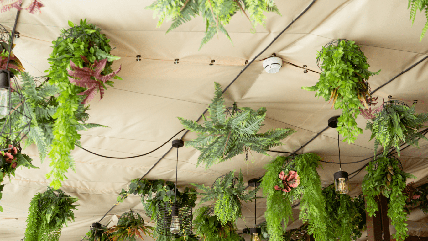 Exploring Biophilic Design in Art: Merging Nature and Creativity for ...